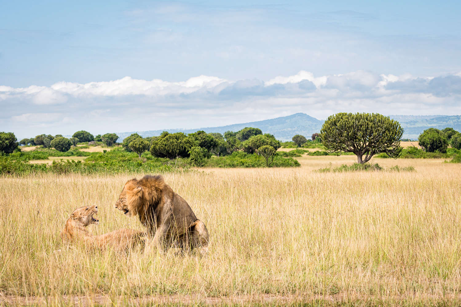 Uganda | Looking At Nature